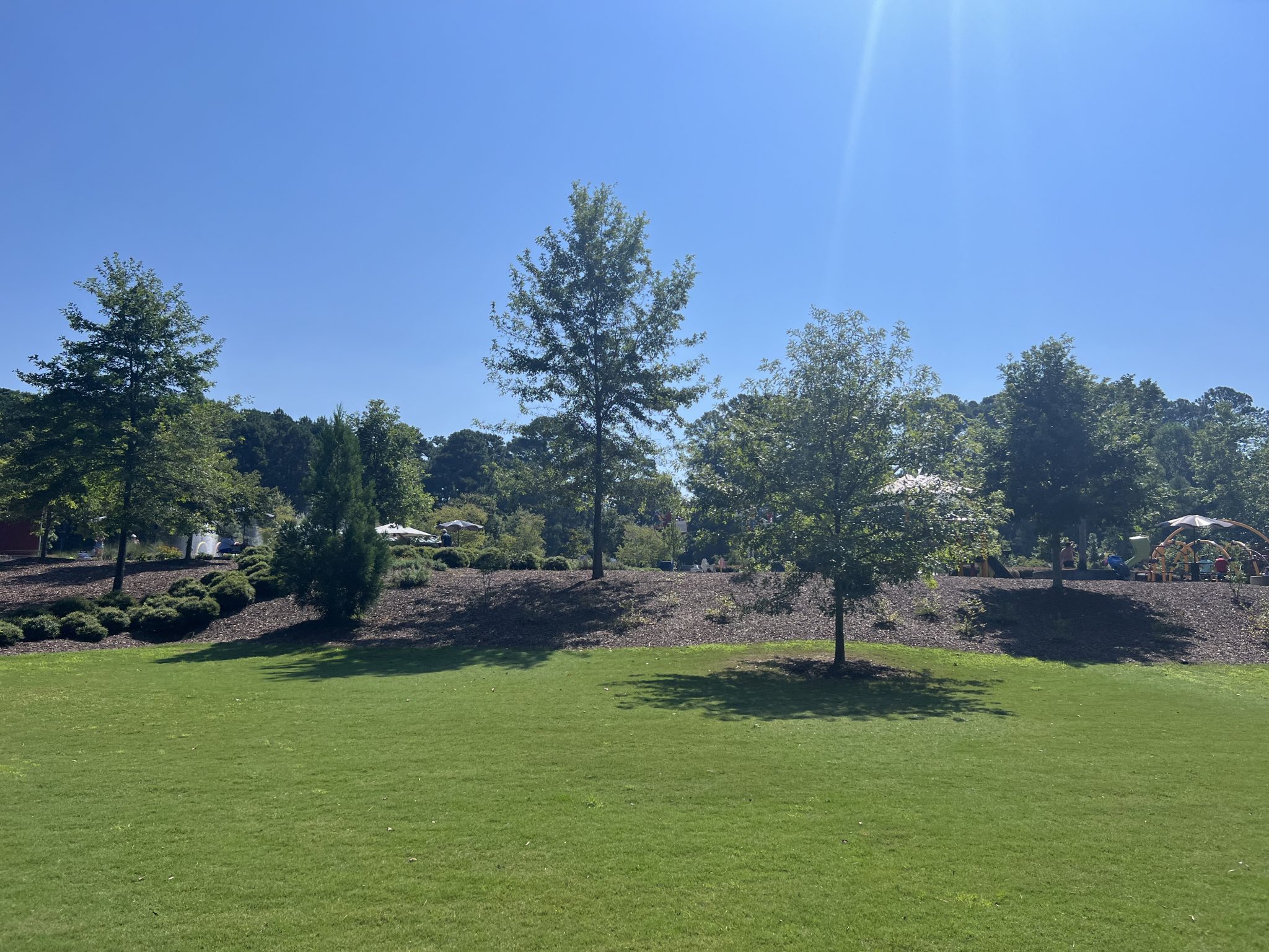 Park Feature: Jack Smith Park - The Cary Report
